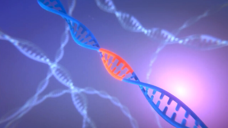 Types of CFTR Mutations | Cystic Fibrosis Foundation